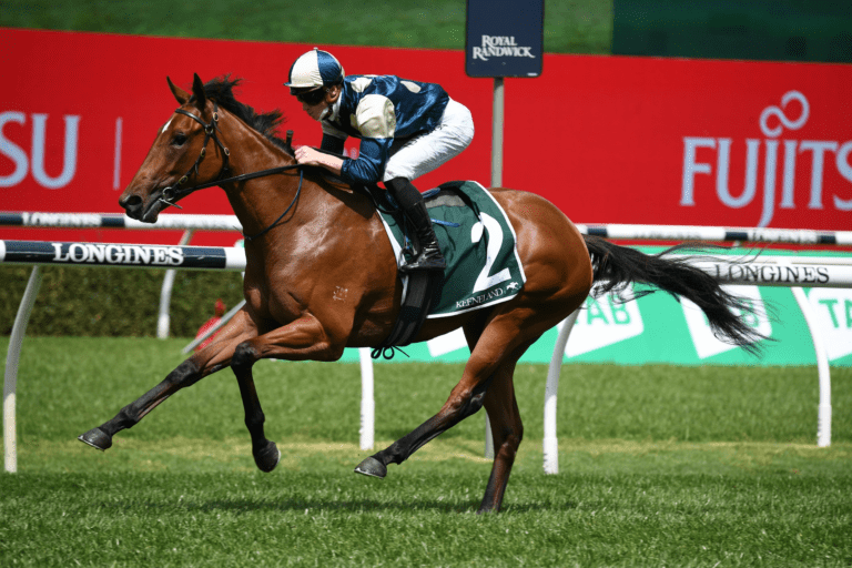 Inside the Stables: Exploring Ciaron Maher Racing - BTX Racing