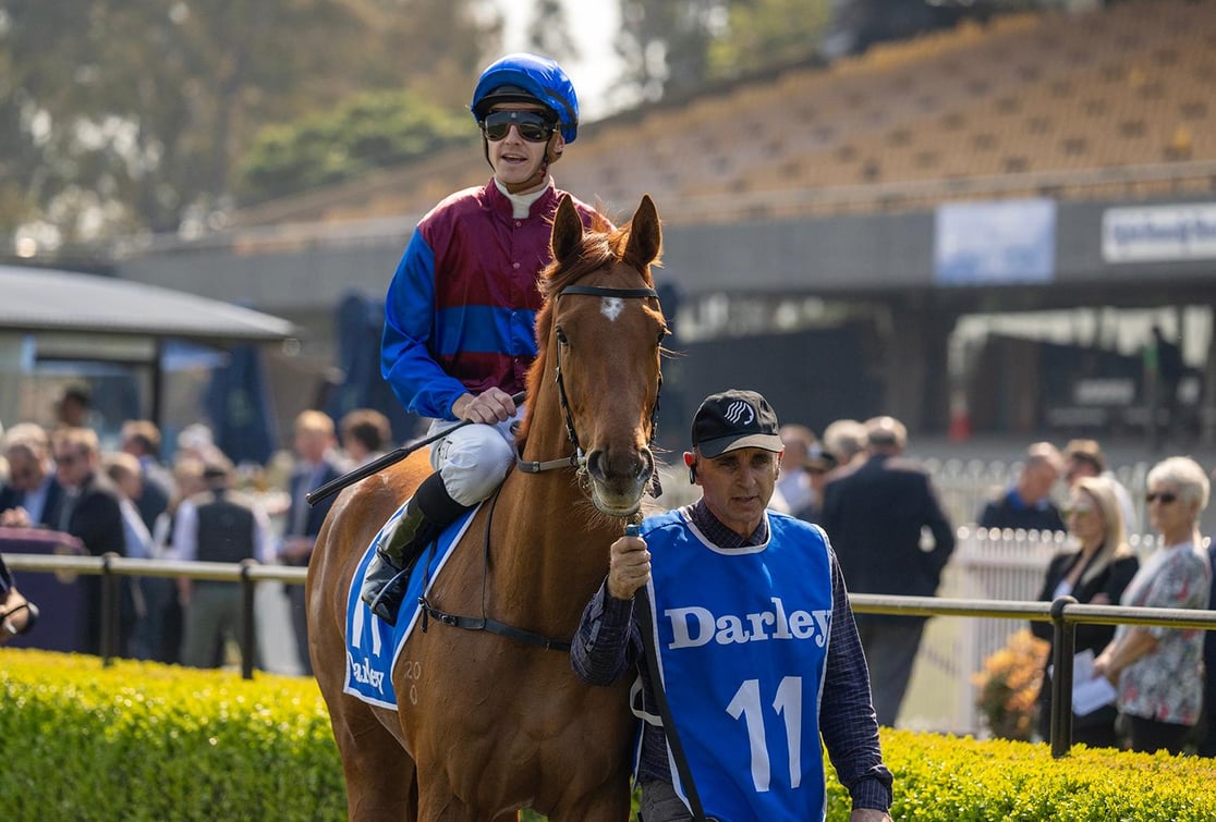 Reasonable And Jon Bon Return To Trials, Plus Big News For Breeding ...