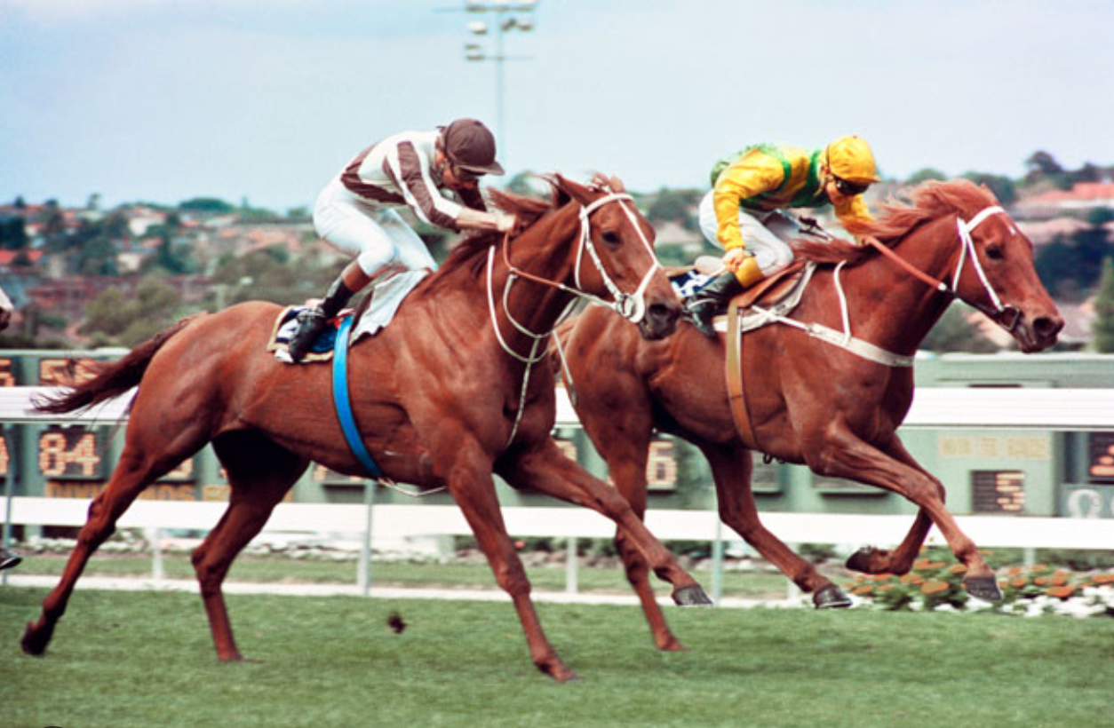 The Australian Racing Landscape - BTX Racing